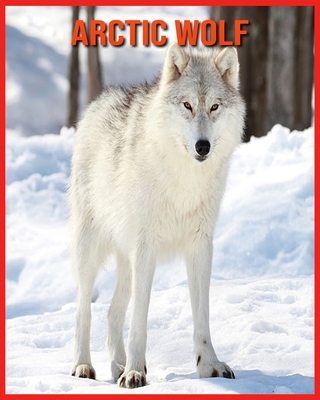Arctic wolf: Incredible Pictures and Fun Facts about Arctic wolf by ...
