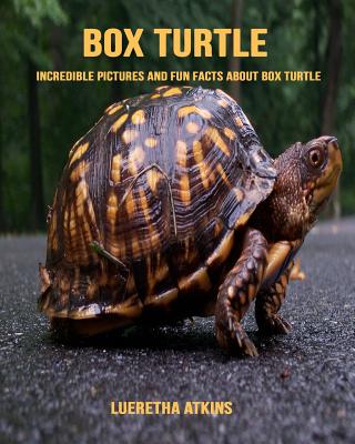 Box Turtle: Incredible Pictures and Fun Facts about Box Turtle by ...